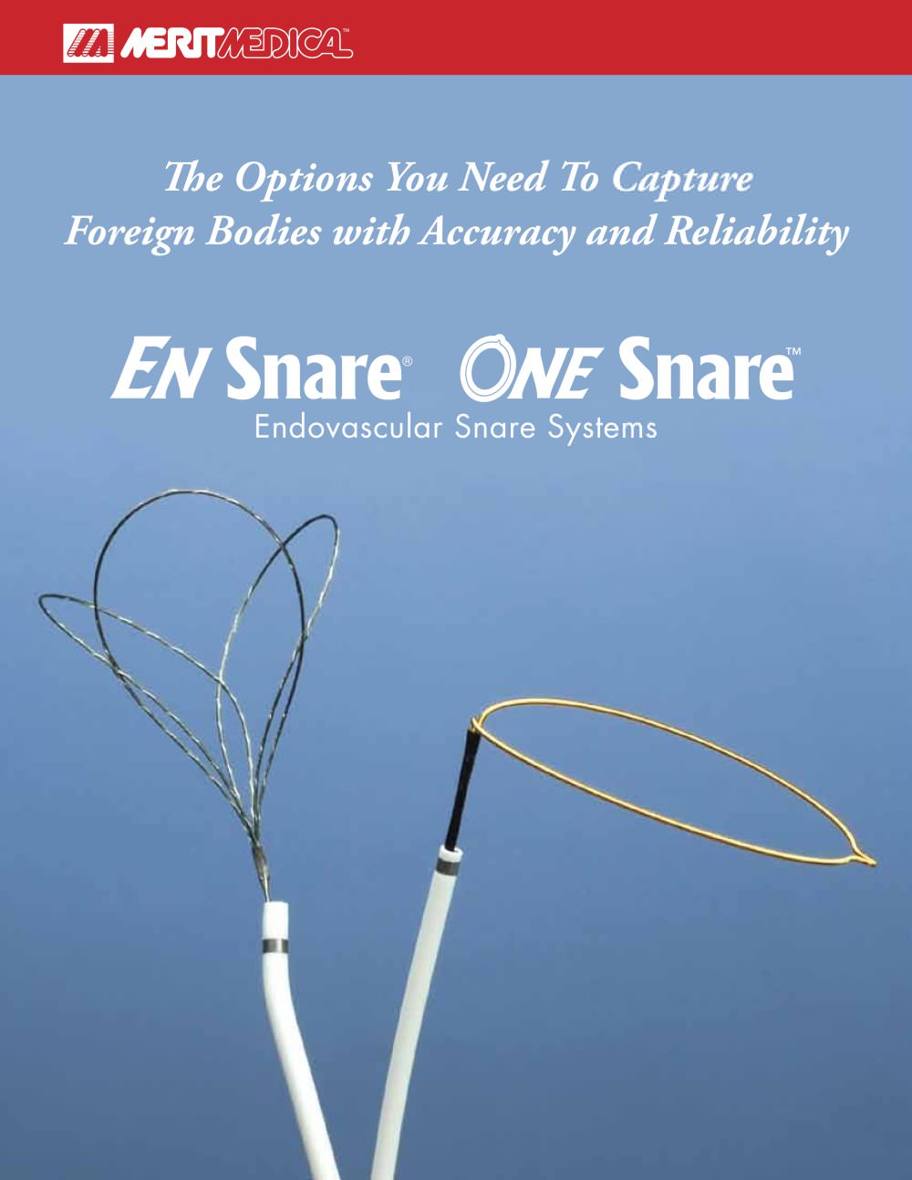 Cateter lazo EN SNARE y ON SNARE – Endovas